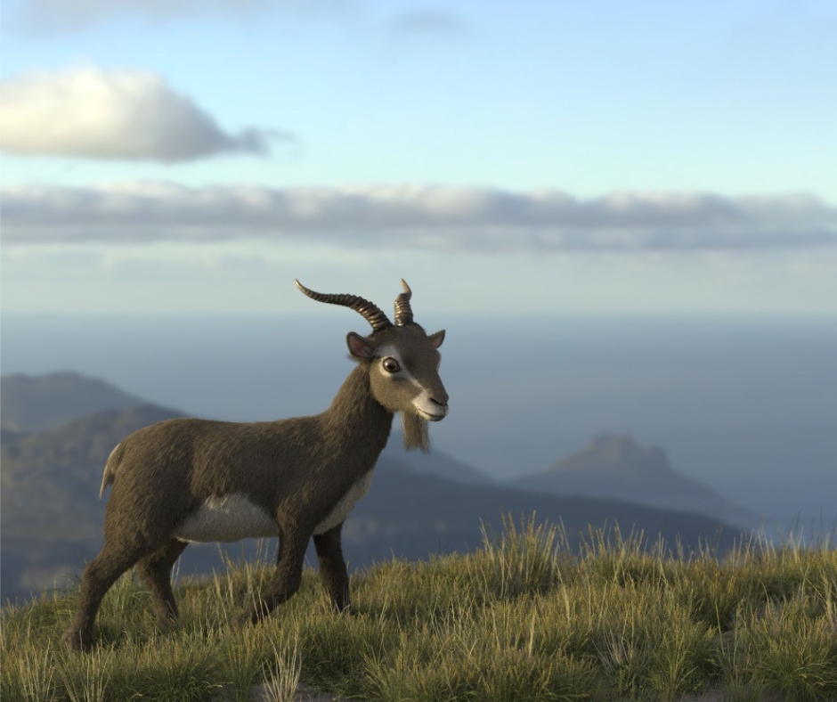 Welcome Greenfield - MountainOne | Banking - Investments - Insurance